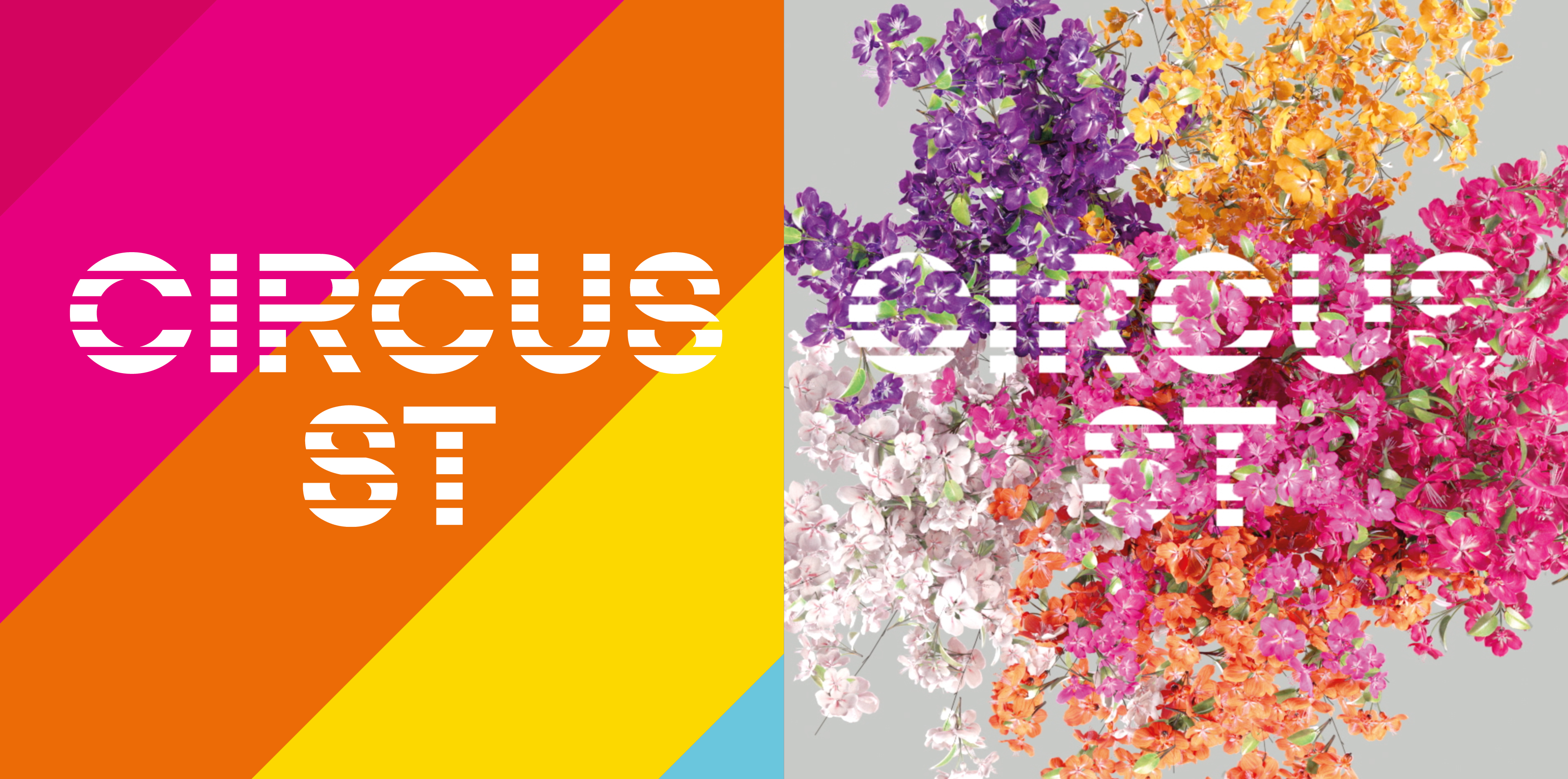 SEA | Our projects | Circus Street